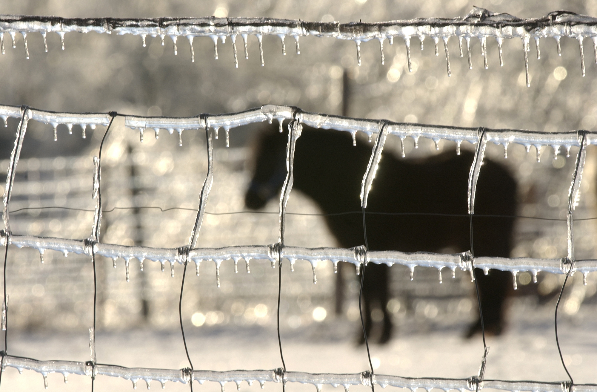 Photo gallery: Behind the Lens – Framing Technique | News, Sports, Jobs ...